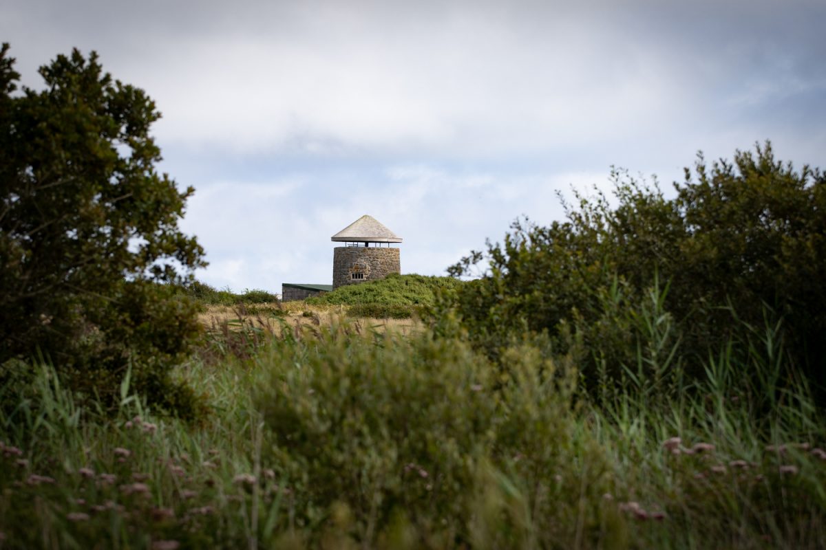 Windmill Farm Nature Reserve - Wild Kernow