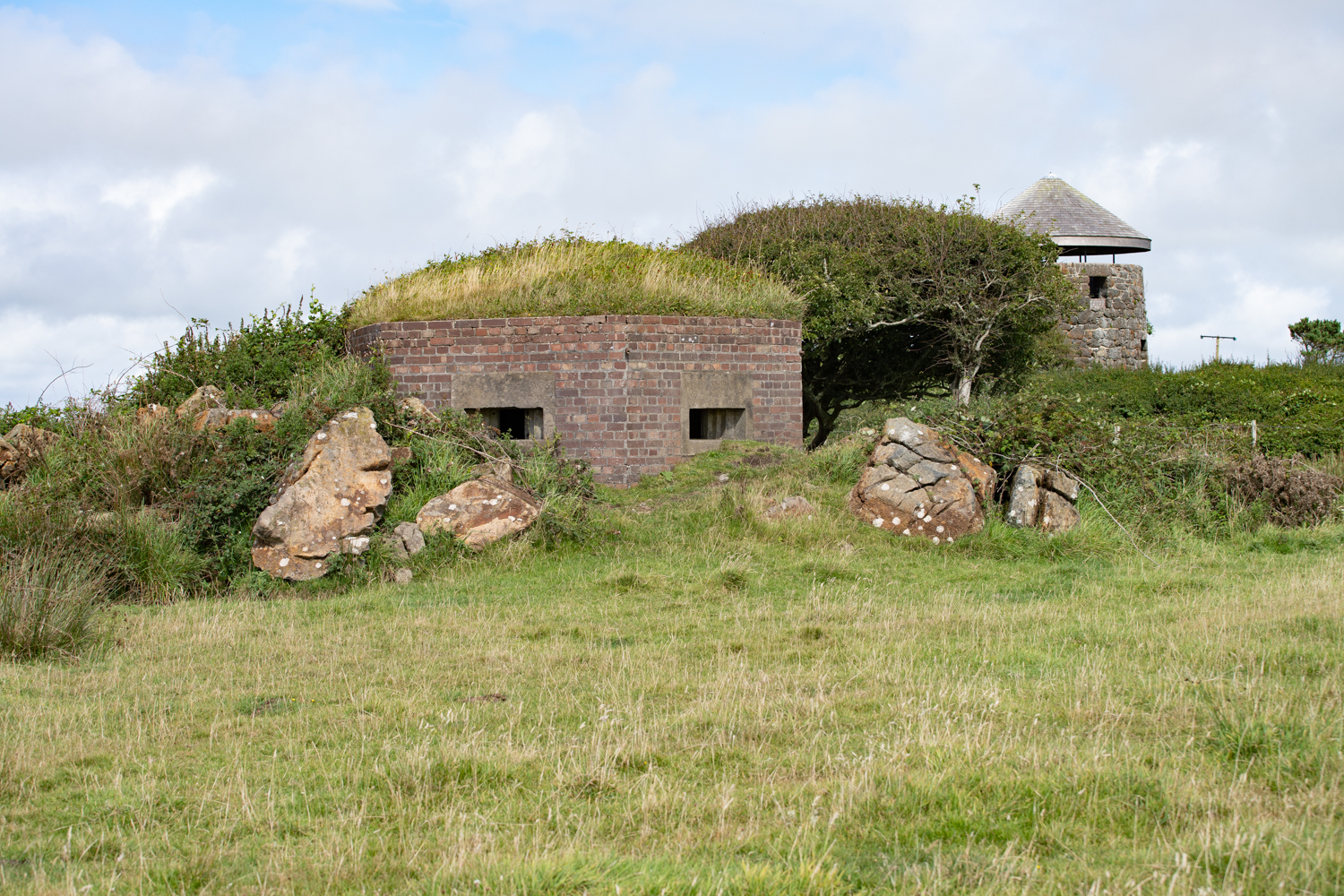 Windmill Farm Nature Reserve - Wild Kernow