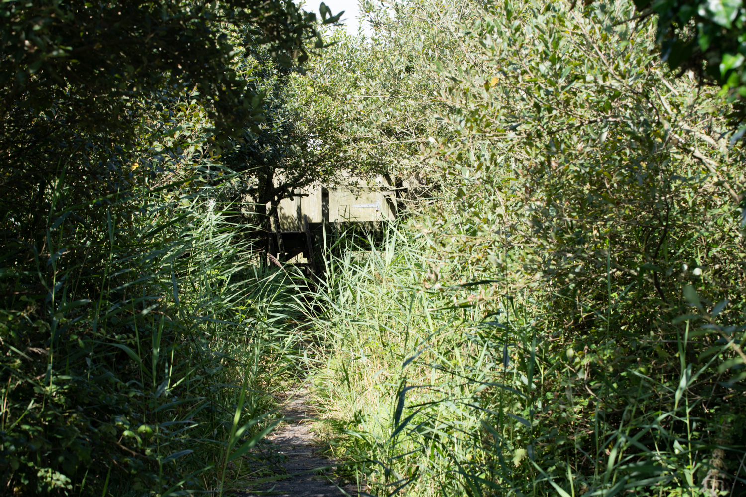 Windmill Farm Nature Reserve - Wild Kernow